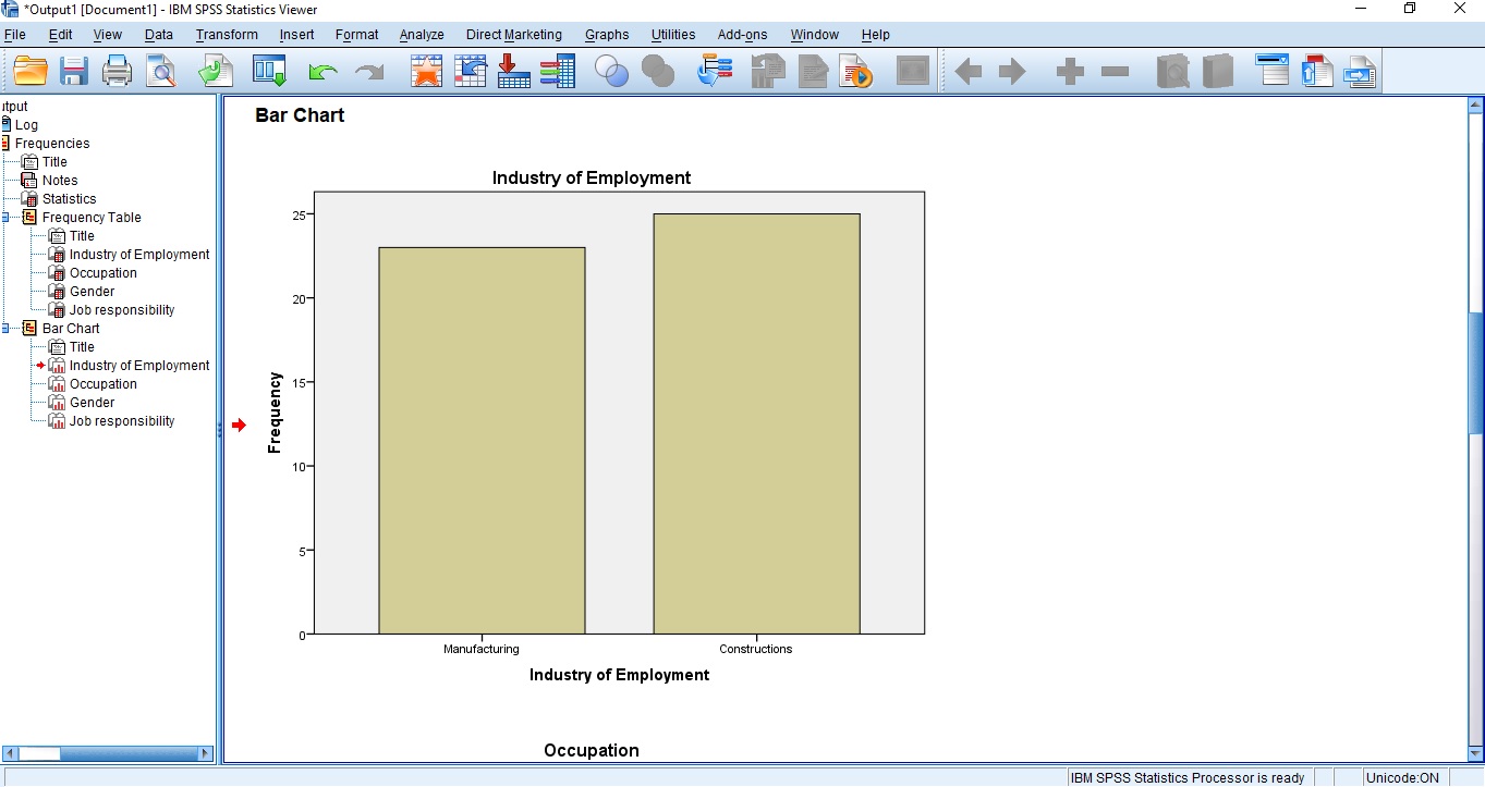 How To Interpret Spss Output For Descriptive Statistics 1