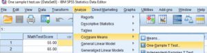 Reporting One Sample T test in SPSS - OnlineSPSS.com