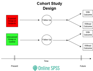 Cohort Study Design - Explained, Example, Key Statistical Tests